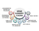 CPT Code for Spine Surgery - Best Practices and Updates - HMS USA
