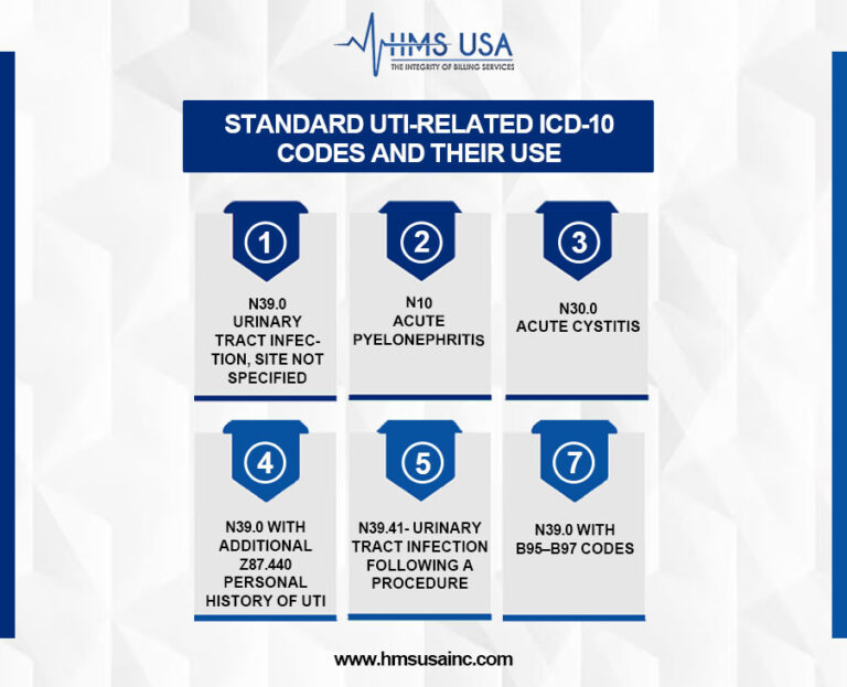 The Comprehensive Guide to ICD 10 Code for UTI in Healthcare Providers